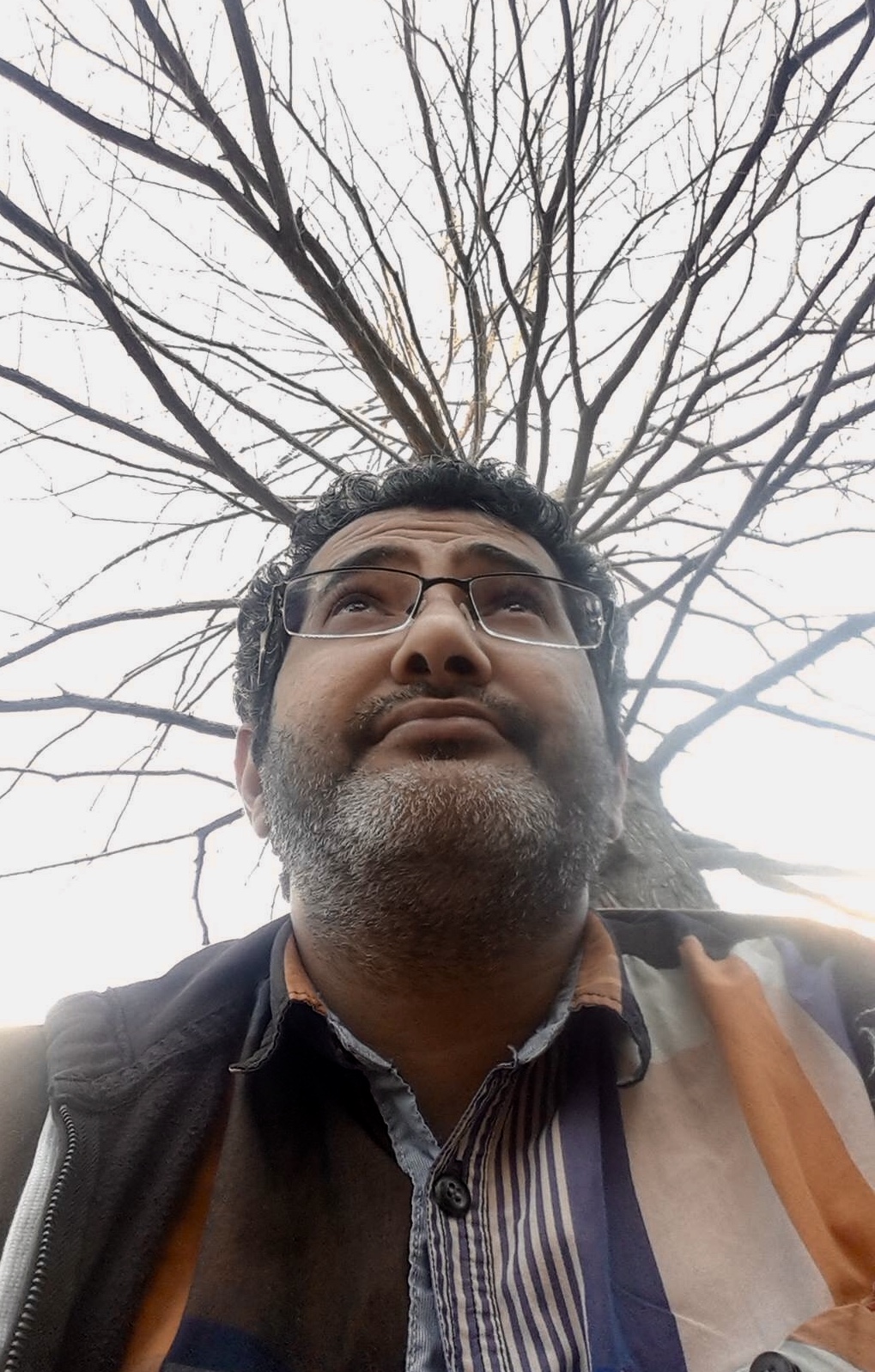 Author: Mohammed Sumili – Picture Show Press